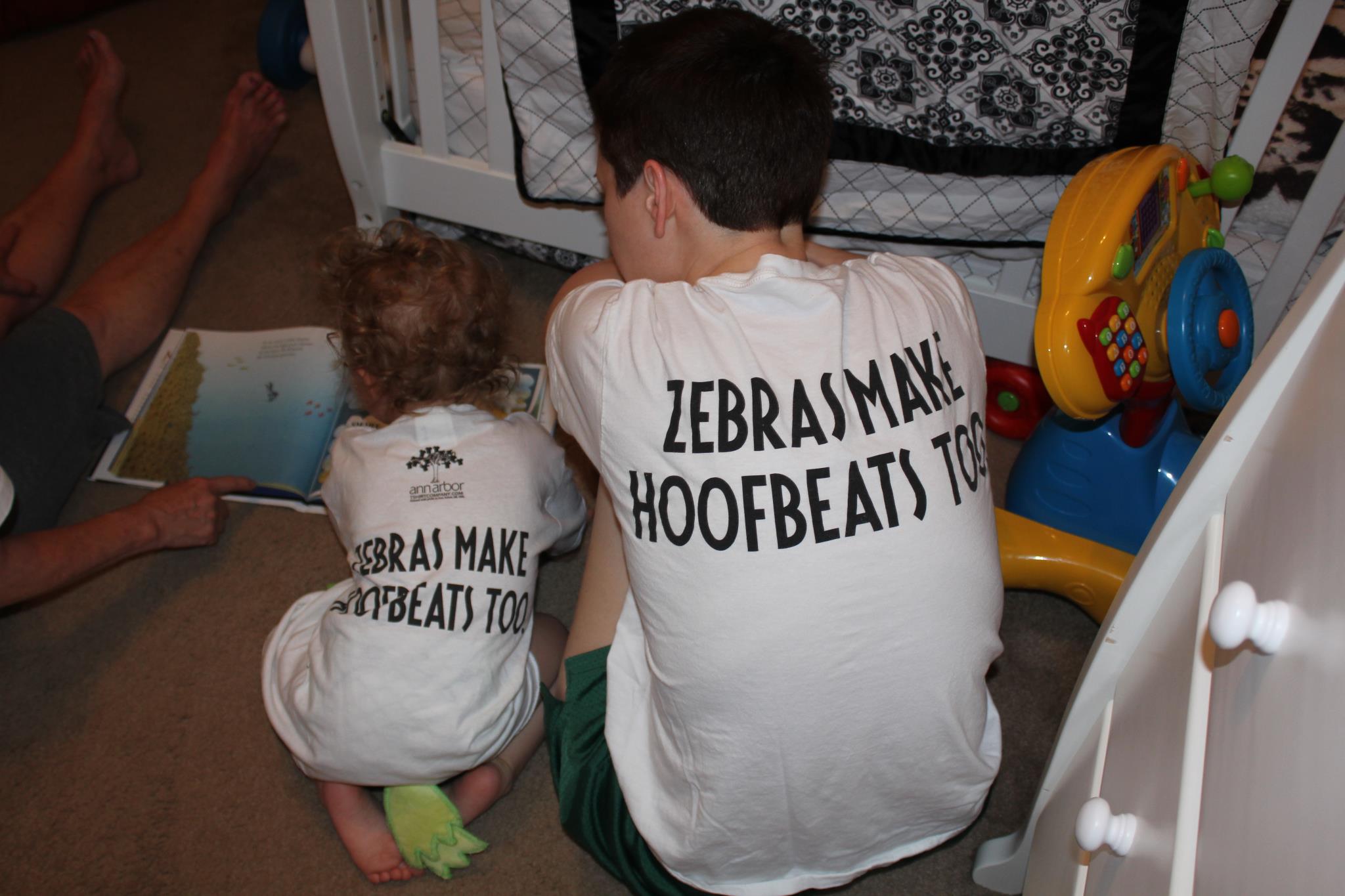 Gallery | Life as a Zebra Foundation