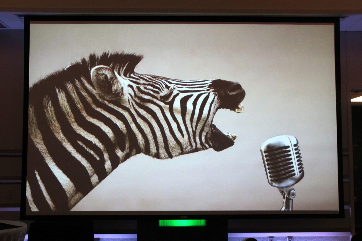 About | Life as a Zebra Foundation